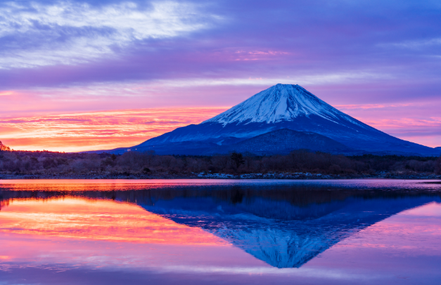 ホストのプロフィール画像