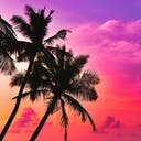 合同会社アクタス・ビー