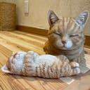 合同会社AHSプロジェクト