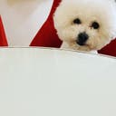 合同会社little rock