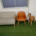 株式会社イヌバコ