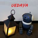 UEDAYA