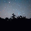 株式会社プロフィコ