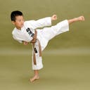 有限会社萃豊閣