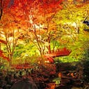 株式会社伊豆毎日新聞社