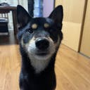 スタジオリュウ