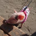 株式会社Sea-Sons