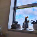 カシマ商事株式会社