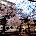 The Moksha Japan 株式会社