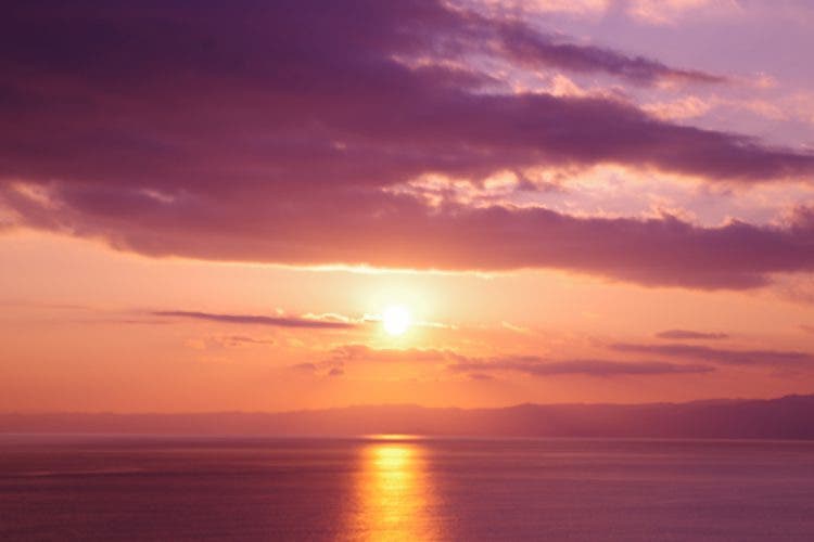 株式会社東進インテリアデコレーション