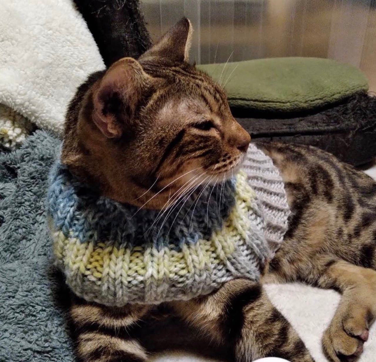 ホストのプロフィール画像