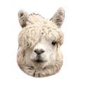 株式会社ワールドインテック