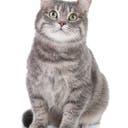 リポット株式会社