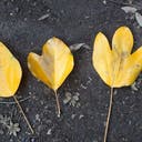 合同会社ステップ京都