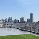 和田朋美、博義