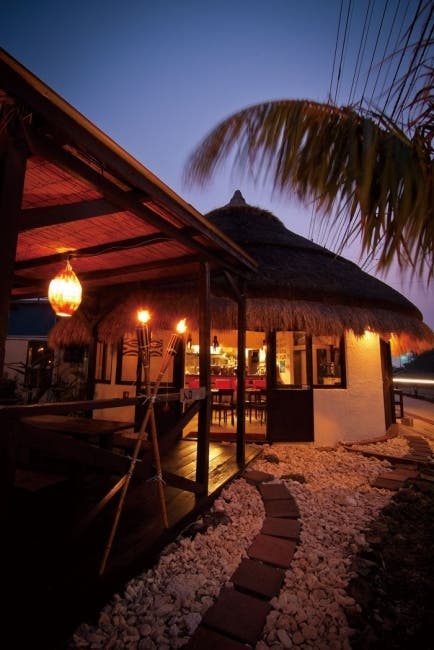 株式会社 Tree of life