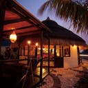 株式会社 Tree of life