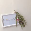 æ ªåŒäŒç€Ÿãã€ãšãŒã¹ã³ãŒã