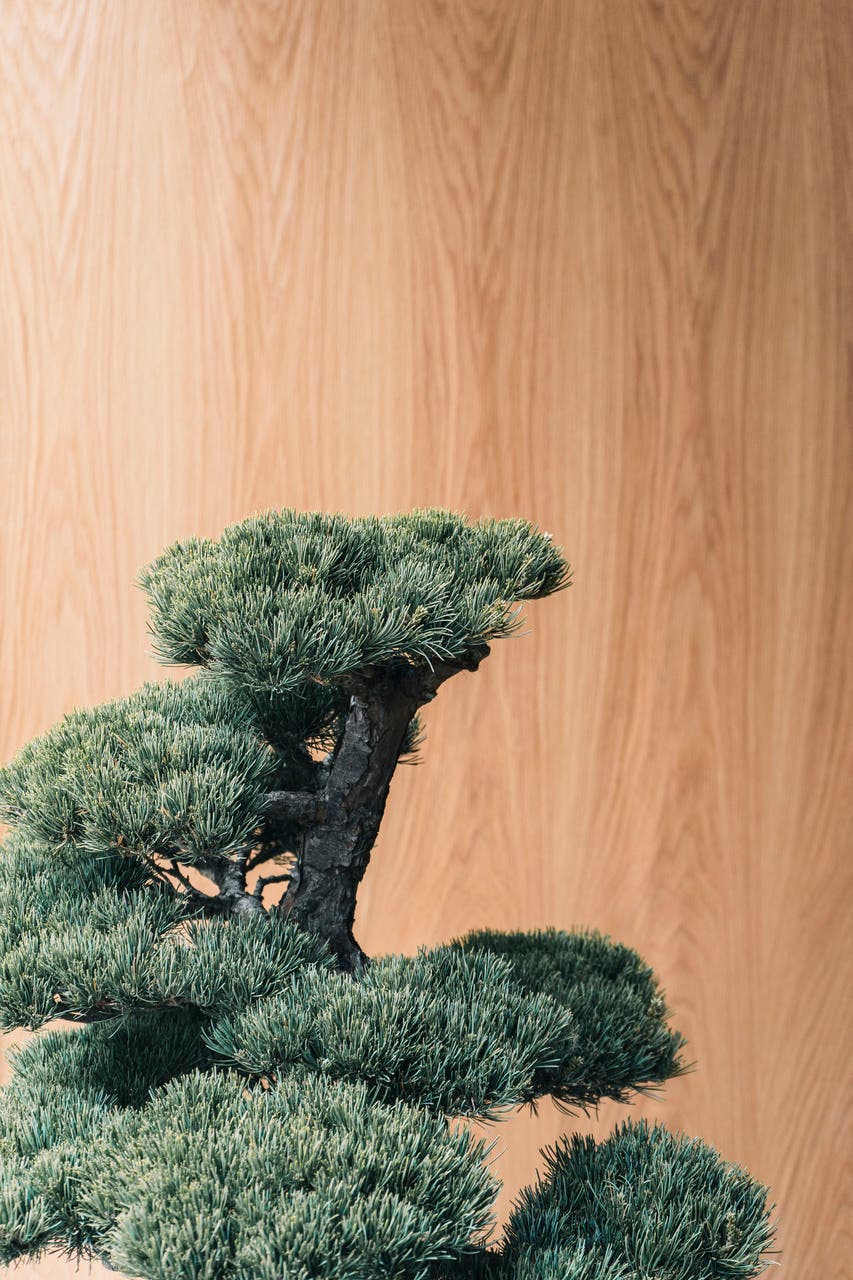 ホストのプロフィール画像