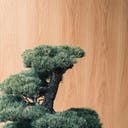 株式会社Standard