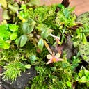 株式会社ハートコーポレーション