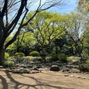 株式会社ディーエルアール