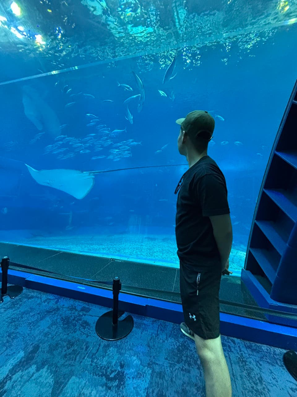 ホストのプロフィール画像