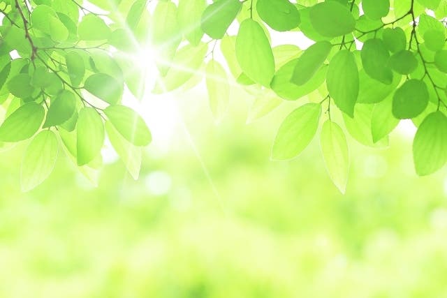 電通工株式会社