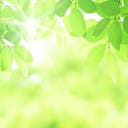 電通工株式会社