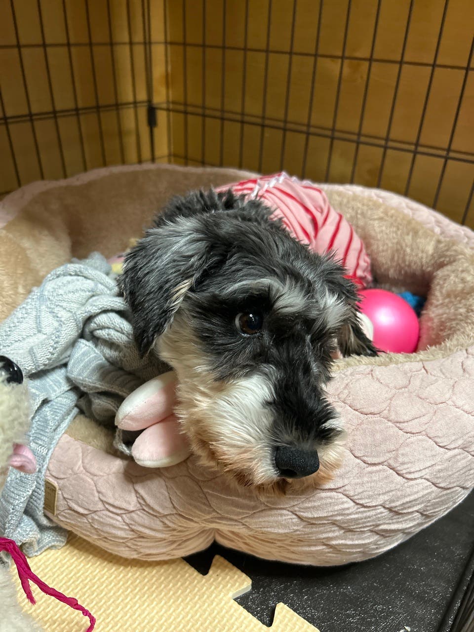 ホストのプロフィール画像