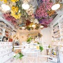 株式会社オーガニックマザーライフ