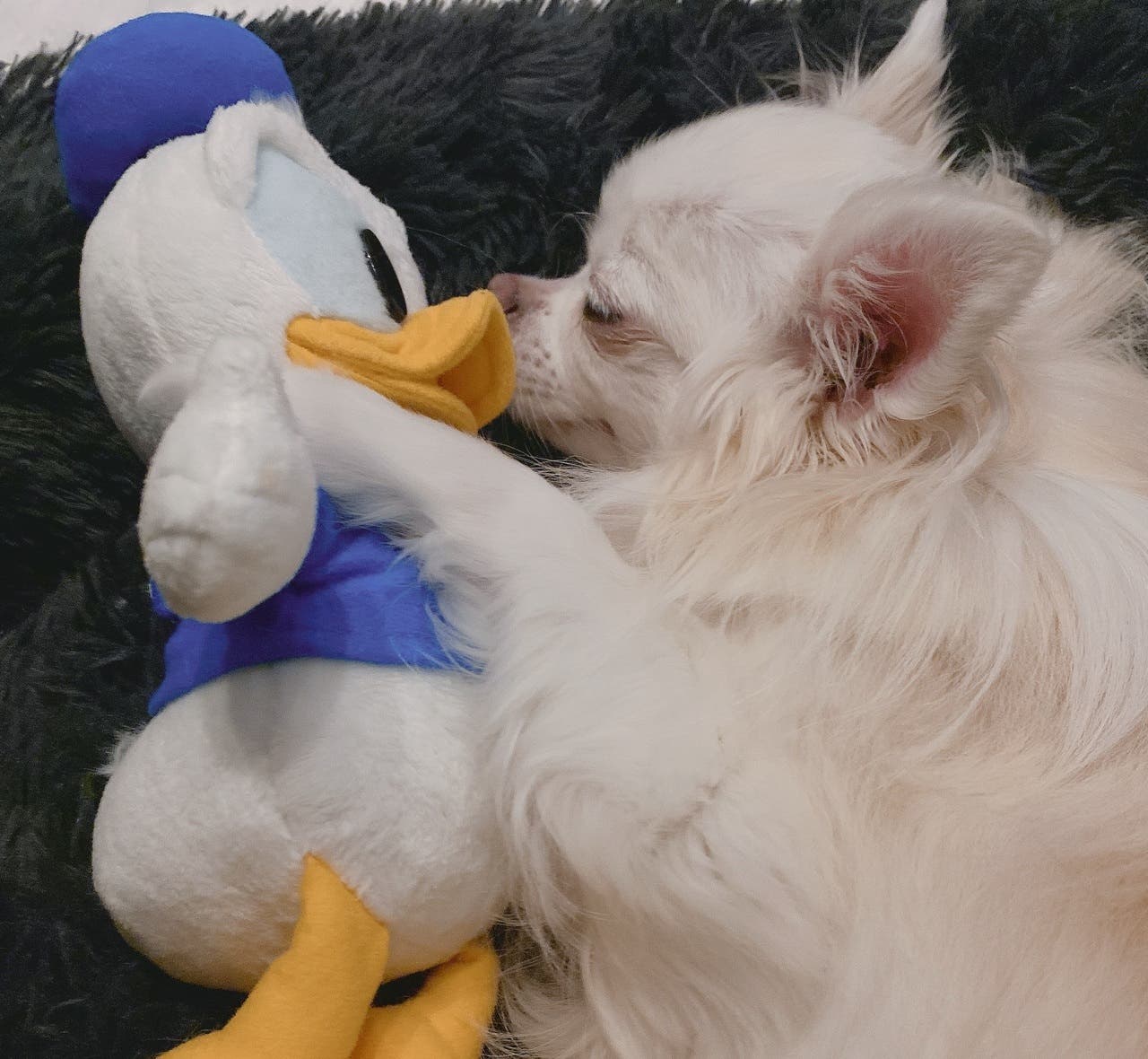 ホストのプロフィール画像