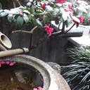 たなかしゅんこう