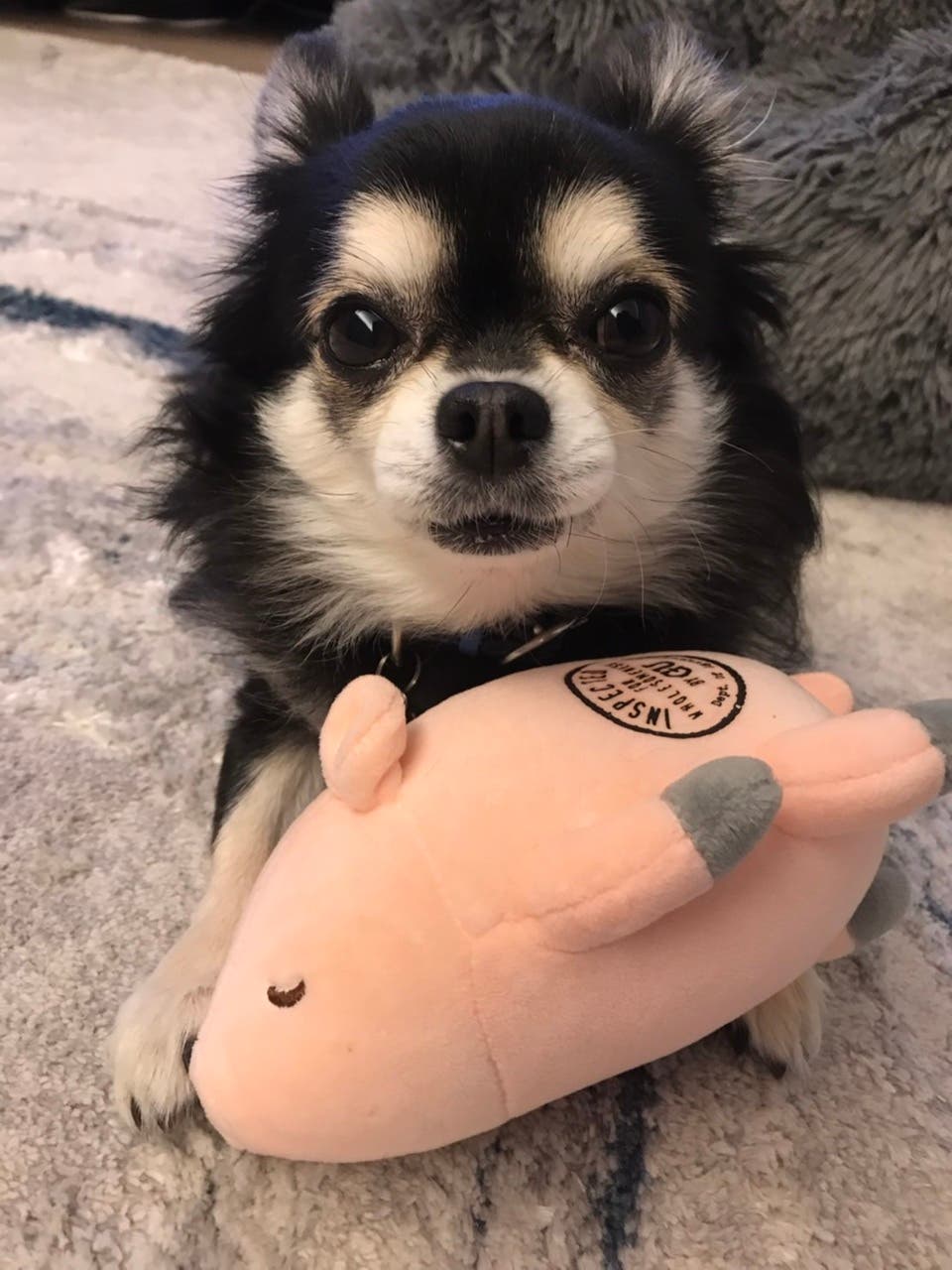 ホストのプロフィール画像