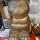 一般社団法人桜咲