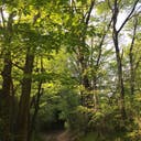 5Ps International合同会社