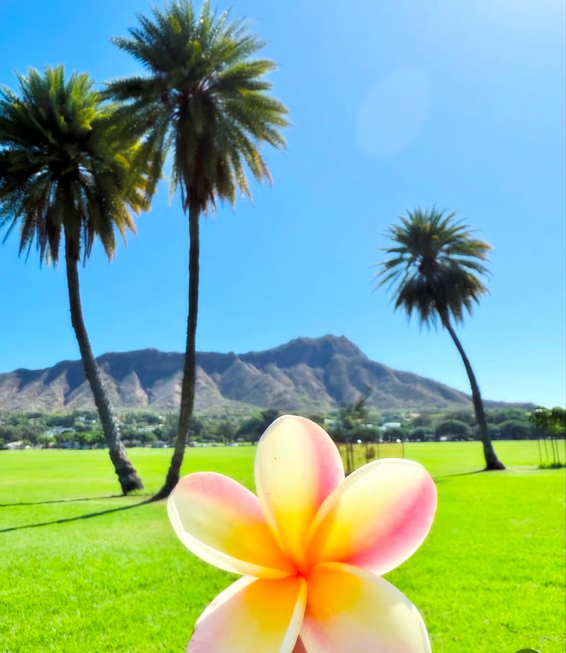 ホストのプロフィール画像