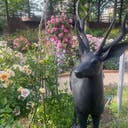 ローズジャパンスタッフ