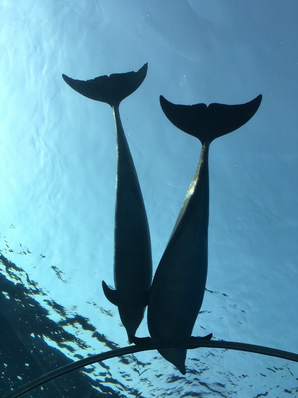 ホストのプロフィール画像