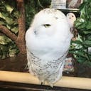 株式会社ウィンターパーク