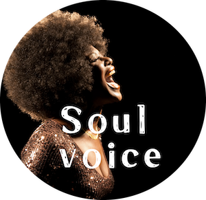 日本ボイスコントロール合同会社