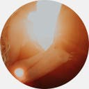 有限会社ギャンボズ