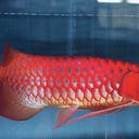 株式会社アールホーム