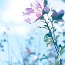 太平洋商事株式会社