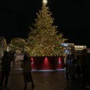 株式会社ストレングス