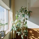 五反田スカイスタジオ