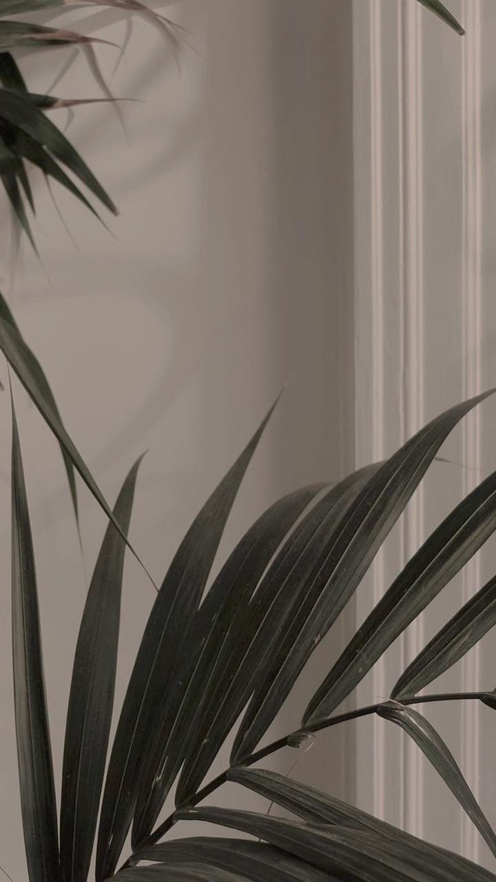 ホストのプロフィール画像