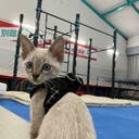 株式会社つばさプロジェクト