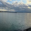 株式会社medilegame