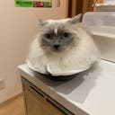 レンタルサロンNATURA